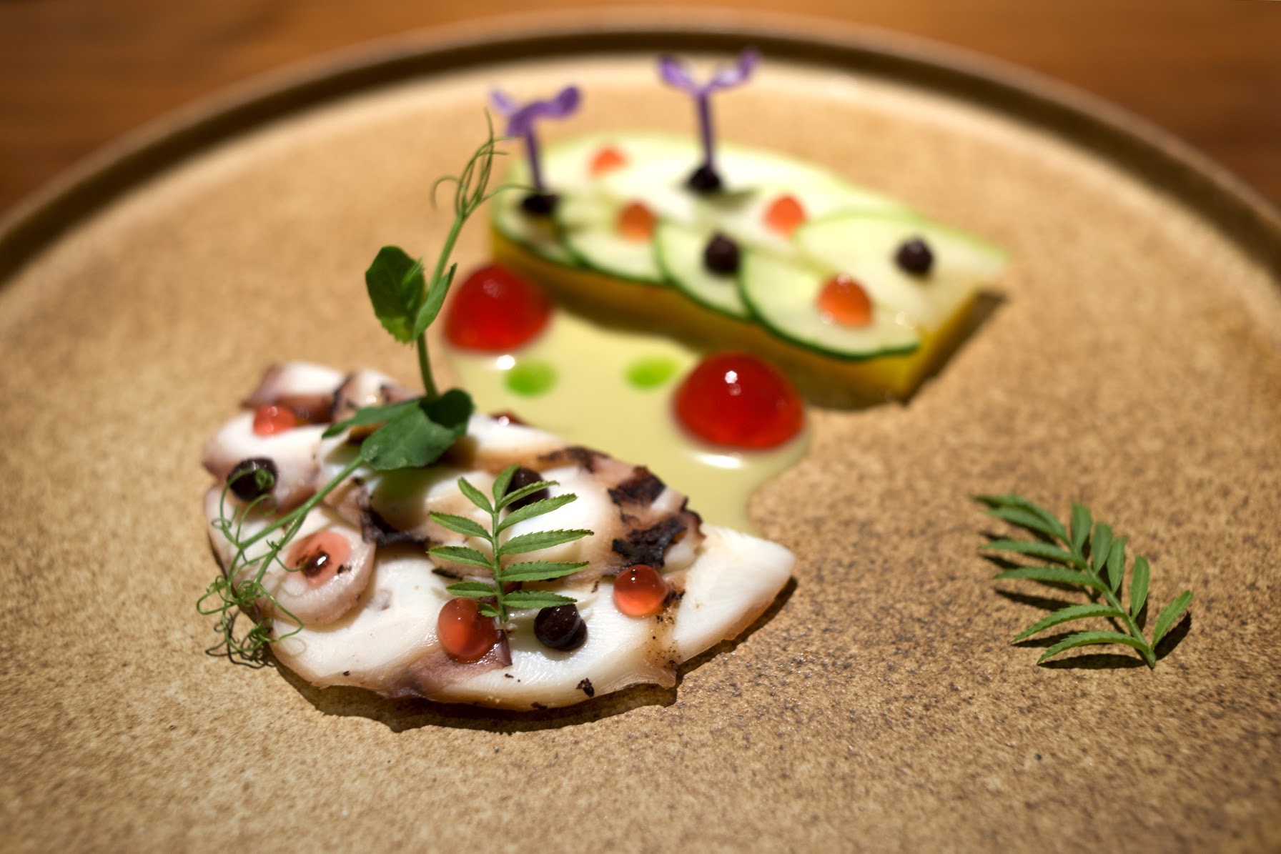 Birds of a Feather (Singapore) launches tasting menu – BIBIKGOURMAND